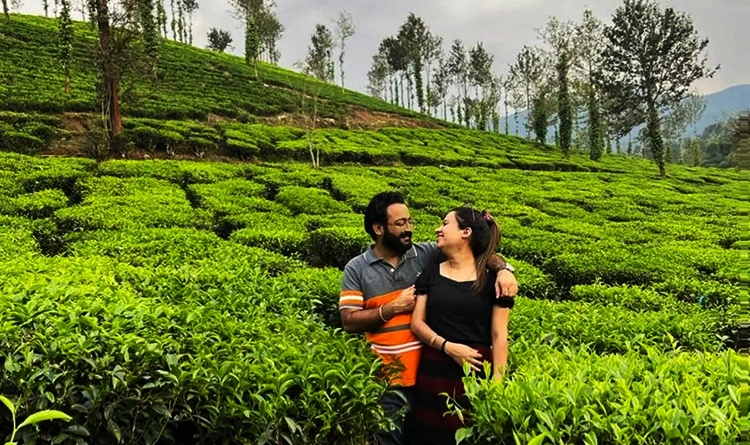 5 Best Tea Plantations in Kerala