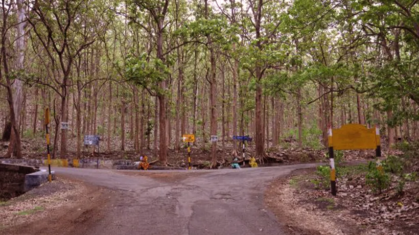 Top 15 Places to Visit in Yercaud