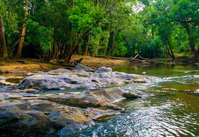 Top 10 Places to visit in Wayanad