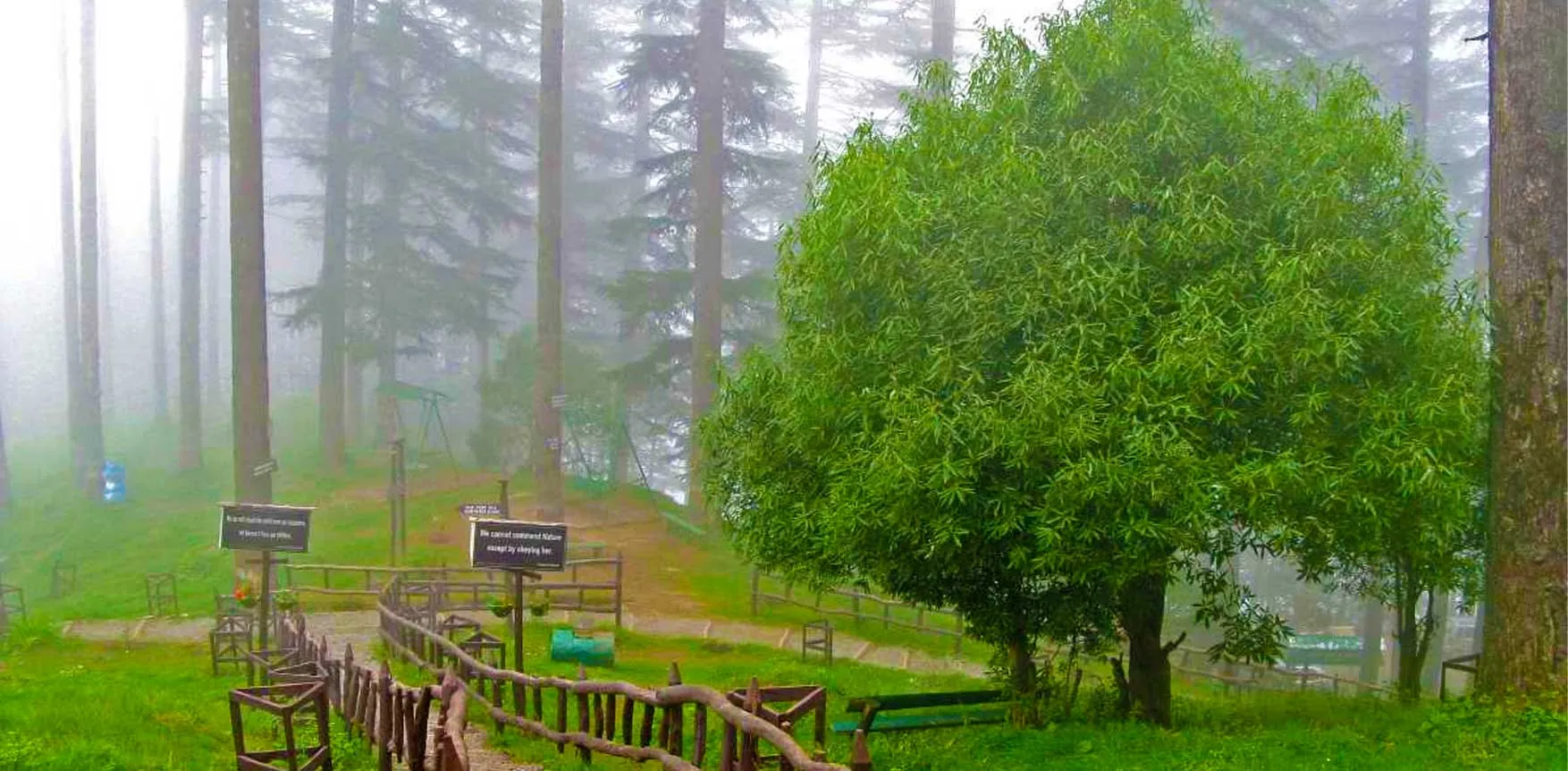 Top 8 Picnic Spots in Dehradun