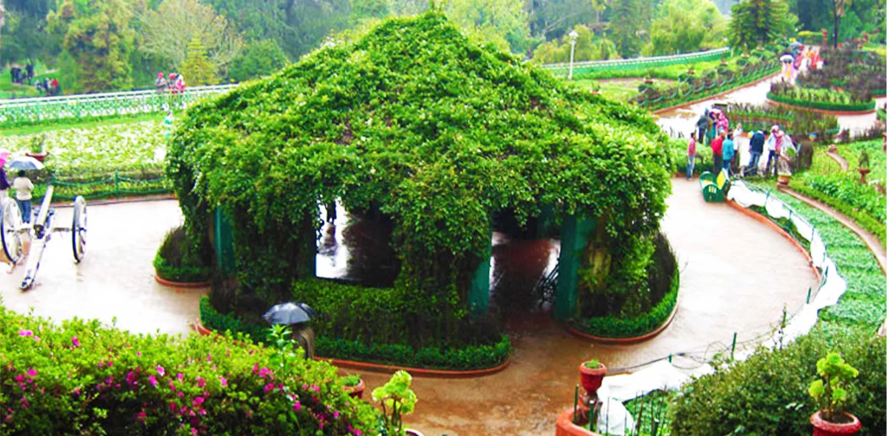 Top 10 Places to Visit in Mudumalai