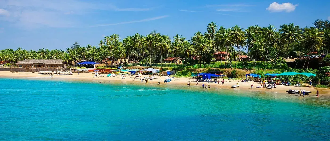 A Guide to Leopard Valley Goa