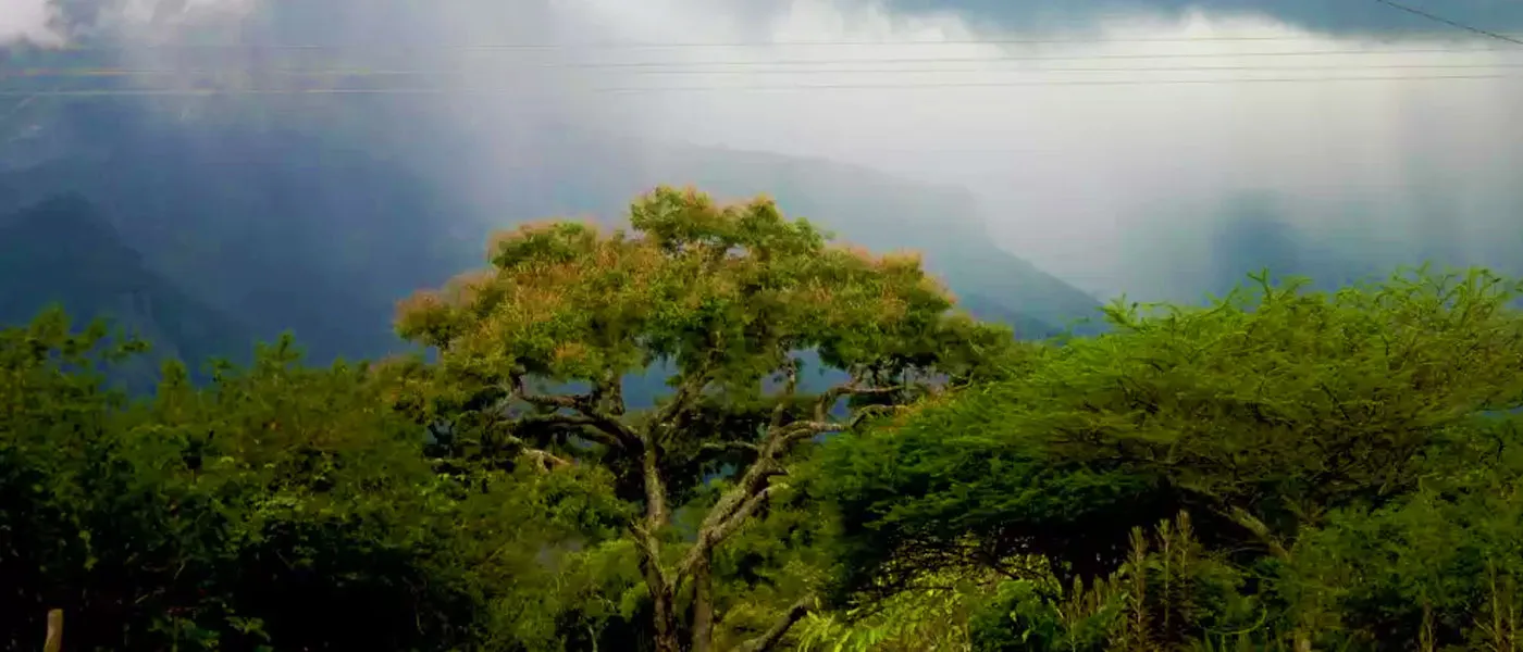 Top 10 Places to Visit in Mudumalai