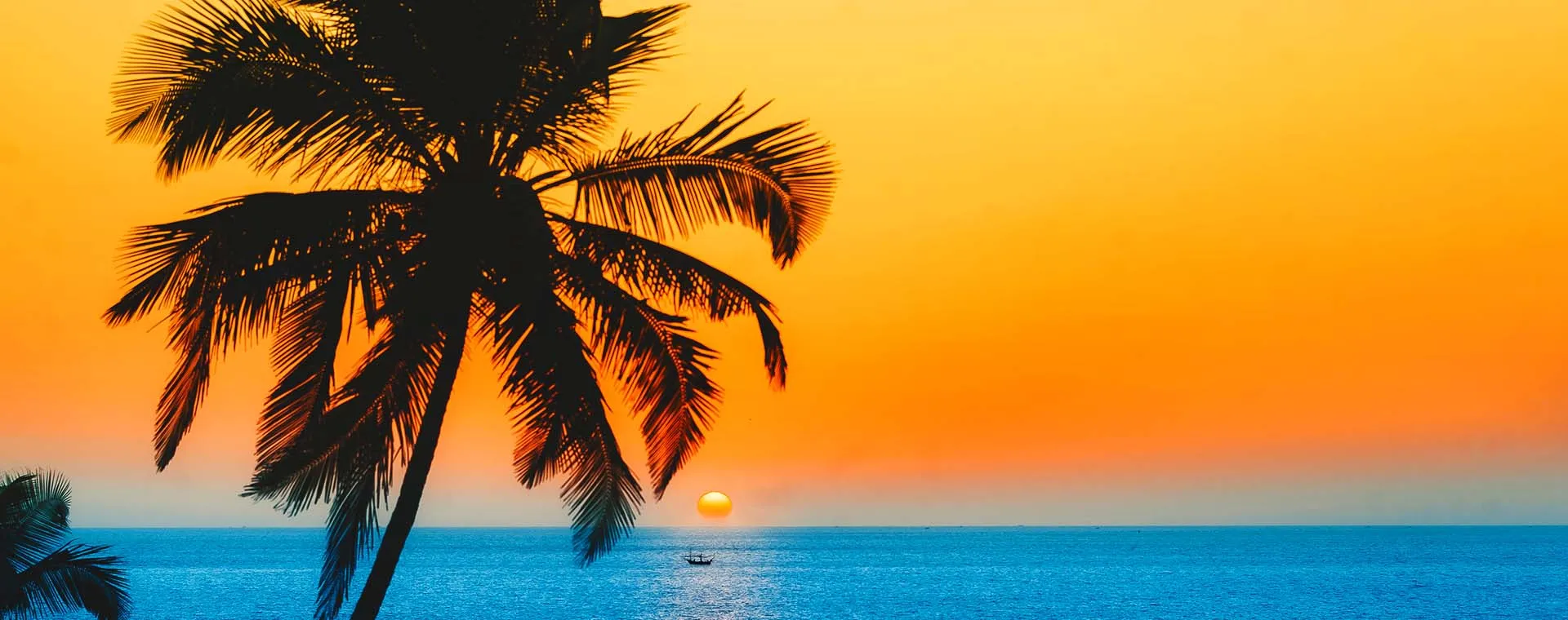 A Guide to Patnem Beach Goa