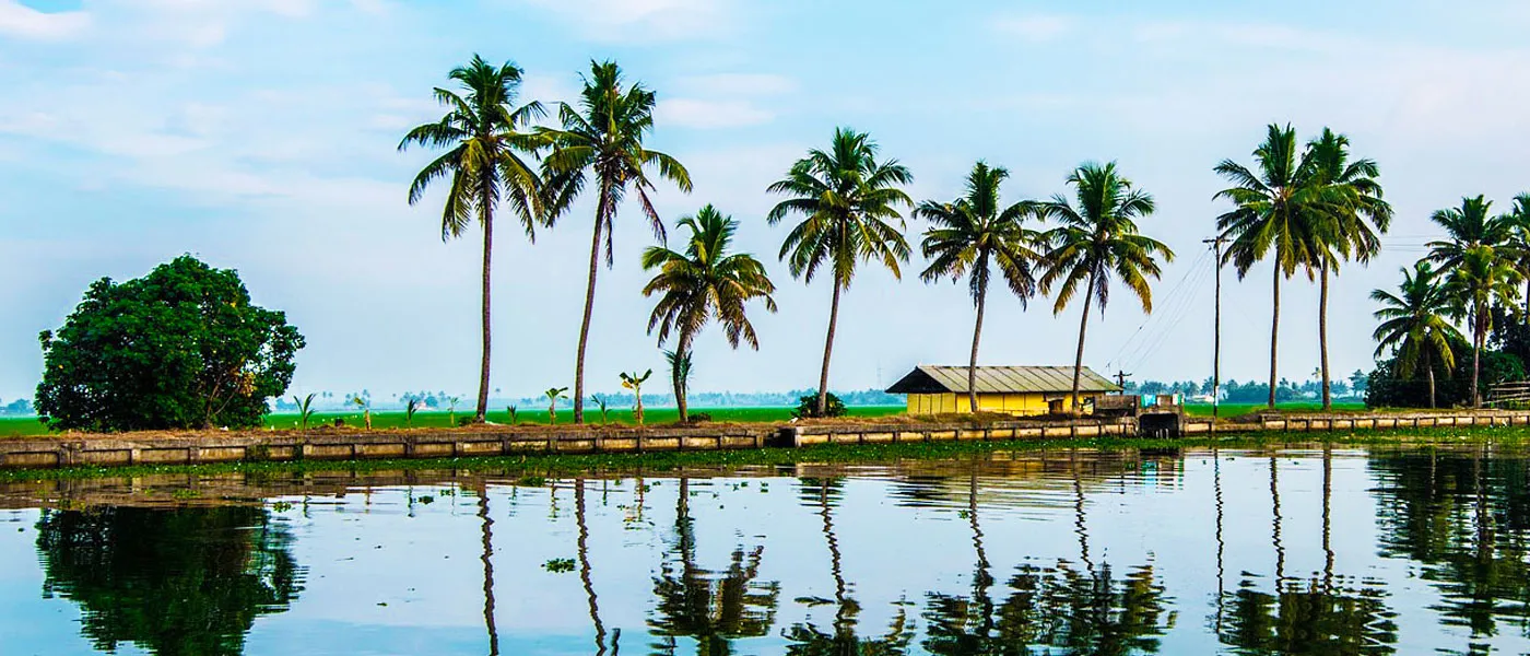 Top 7 Things to do in Thrissur