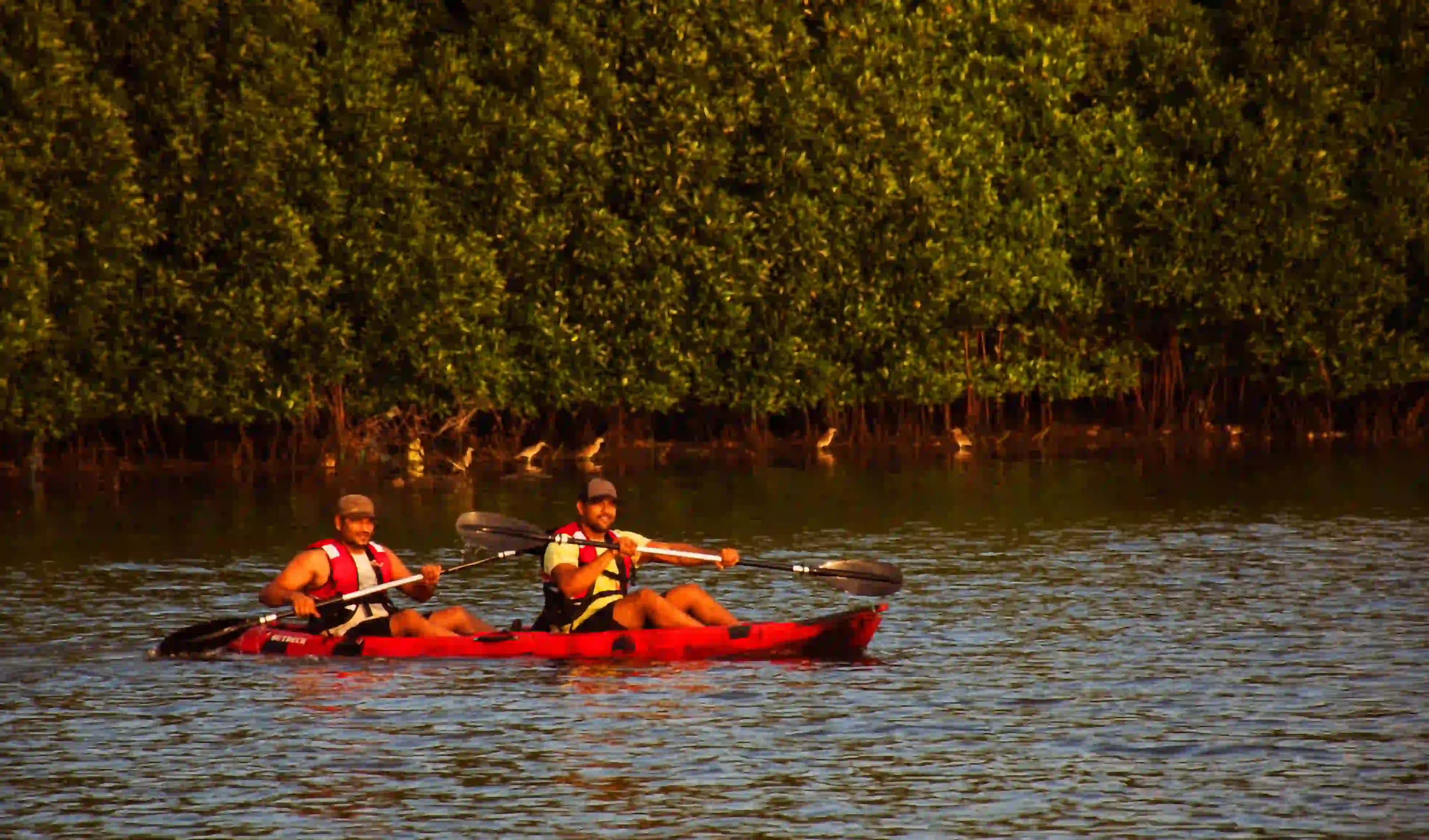 Mangrove Forest Kayaking in Pondicherry - Today’s offer Rs.850 ( 15 % off)