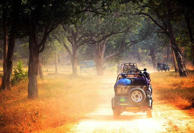 Jeep Safari at Munnar - Today’s offer Rs.699 ( 31 % off)